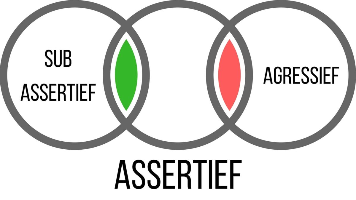 Assertiviteit: wat betekent het en welke vormen zijn er? - Working ...